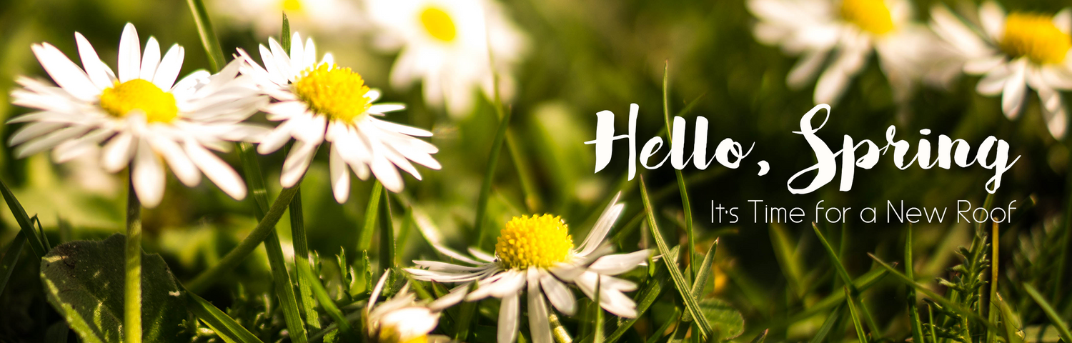 Spring Commercial Roofing Updates – Leading Edge Safety